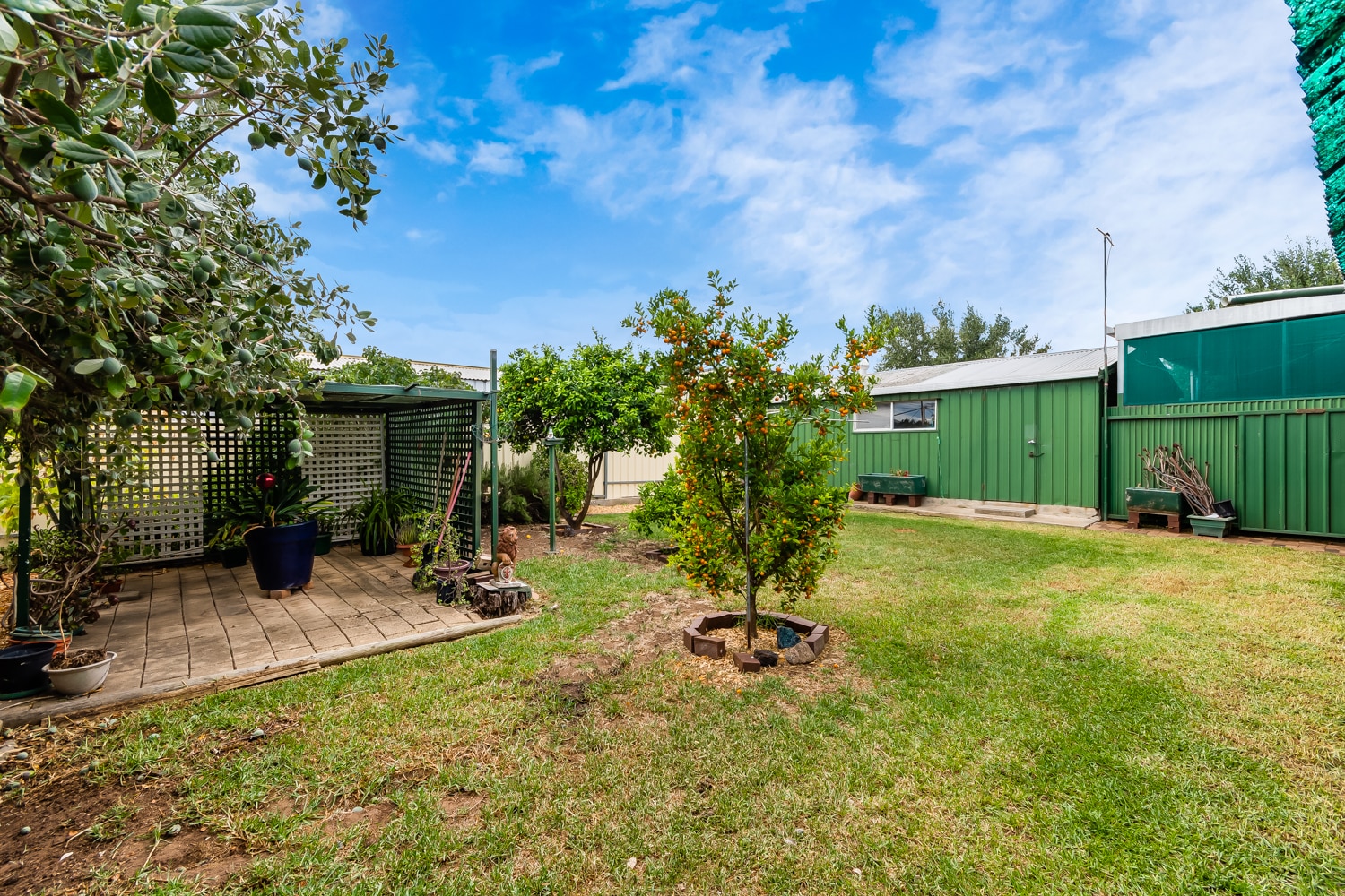 18 Rodney Avenue, Ingle Farm - Young Real Estate SA